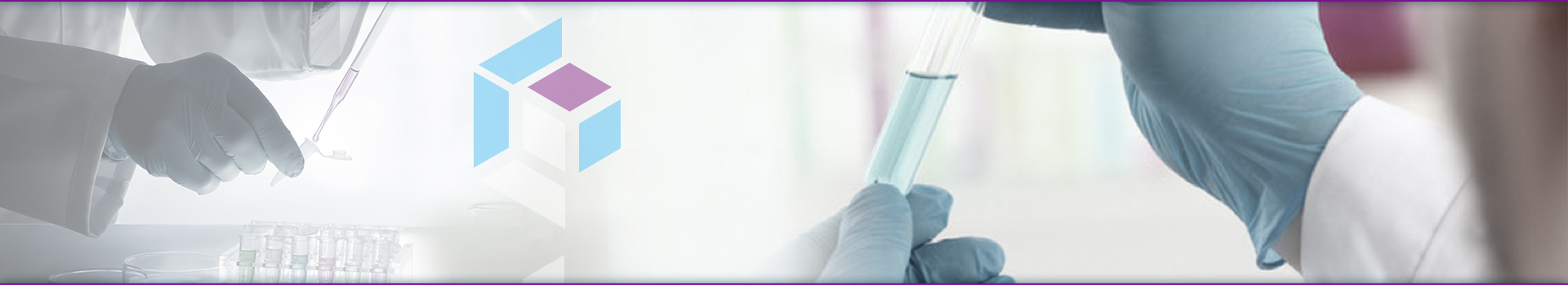 Why RaDes - RaDes GmbH